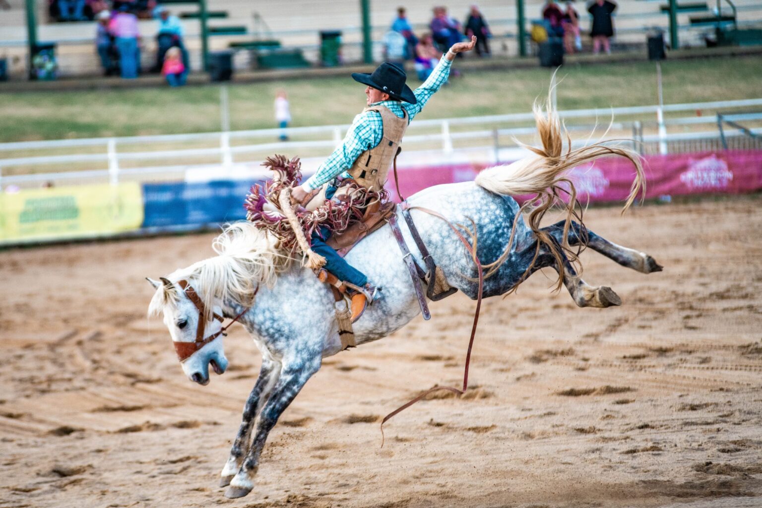 Warwick Rodeo and Gold Cup Campdraft - Australia's Most Famous Rodeo