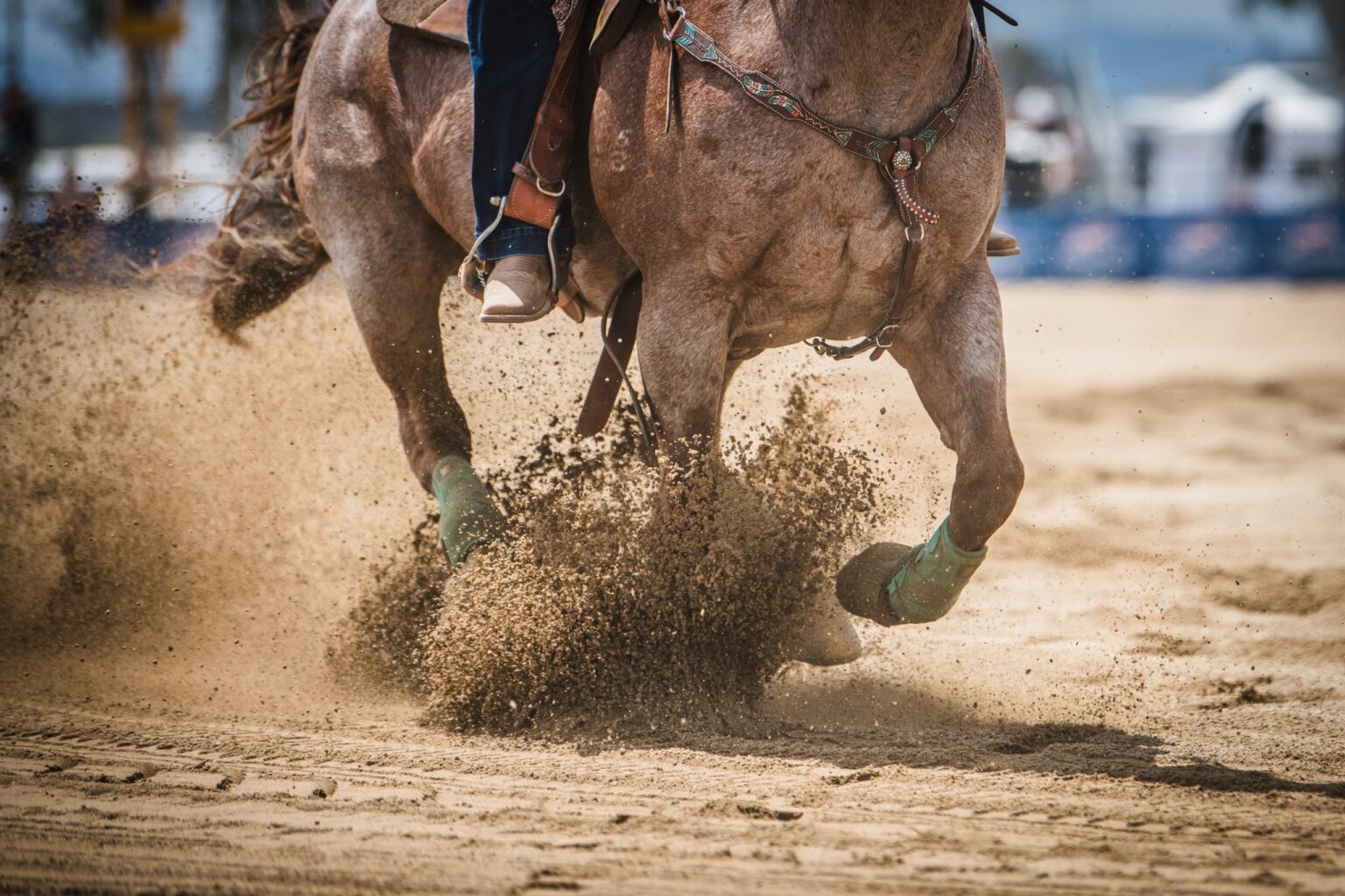 Warwick Rodeo and Gold Cup Campdraft - Australia's Most Famous Rodeo