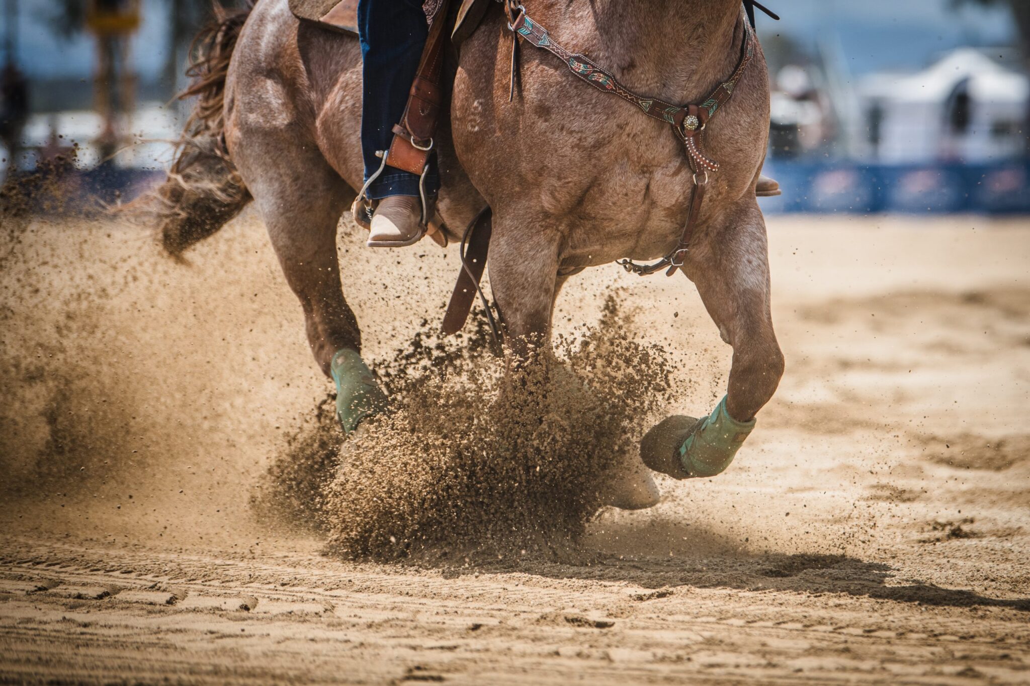 Warwick Rodeo and Gold Cup Campdraft - Australia's Most Famous Rodeo